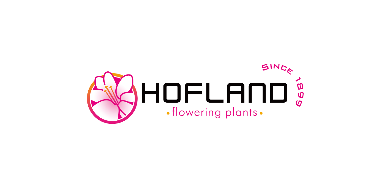 Hofland Flowering Plants | Jouw Kleurrijke, Duurzame Kwekerij