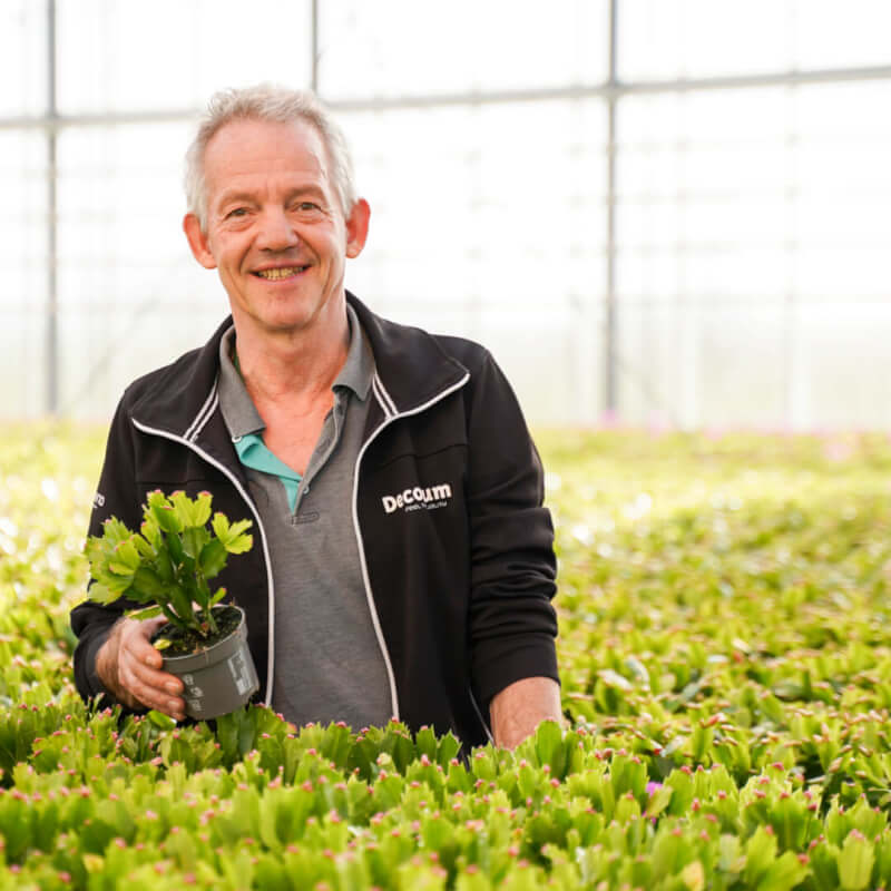 Ontmoet Ons Team | Deskundige & Toegewijde Professionals